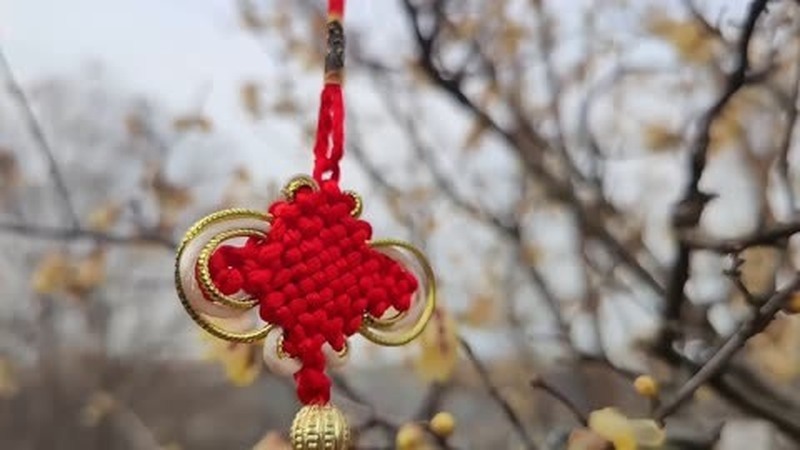 中国结创意美术:解锁传统艺术的现代魅力