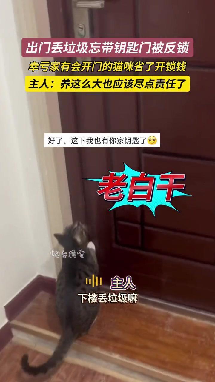 出门丢垃圾忘带钥匙门被反锁,幸亏家有会开门的猫咪省了开锁钱。