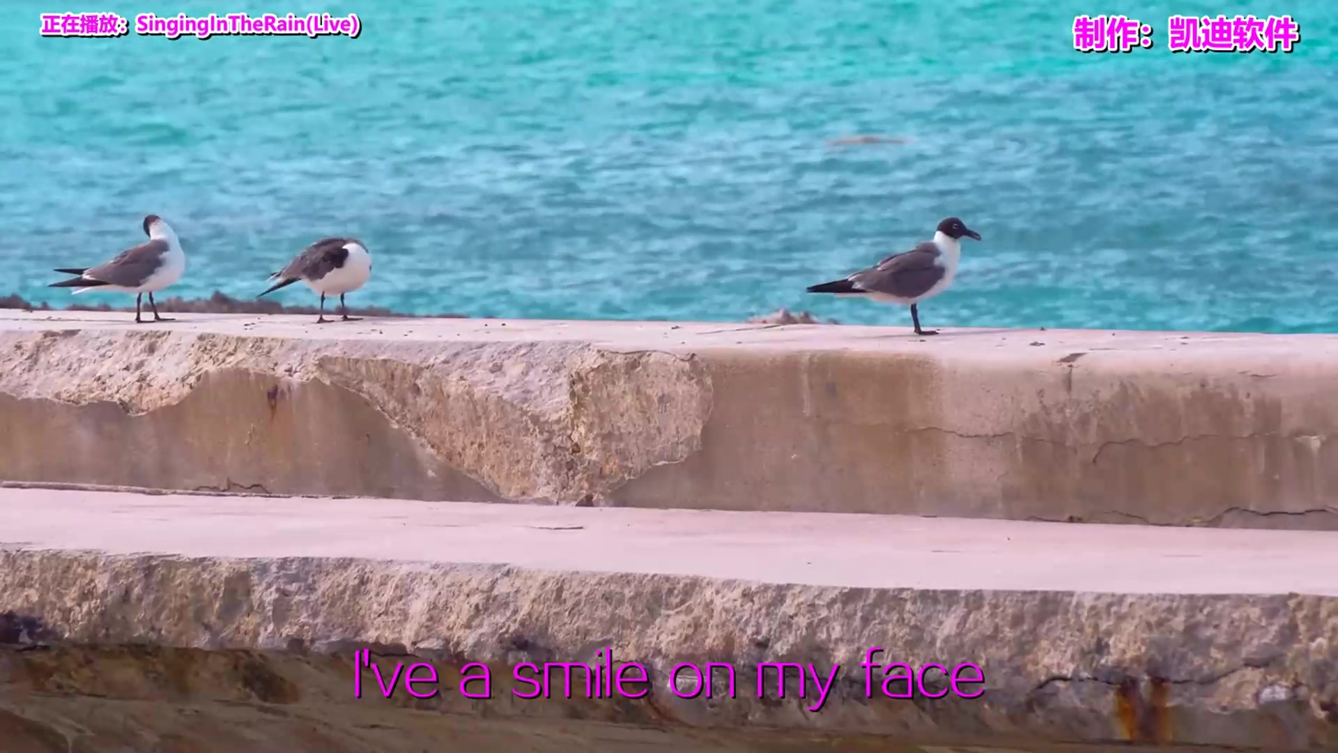 《SingingInTheRain(Live)》欣赏,车载歌曲mv用什么软件下载东西