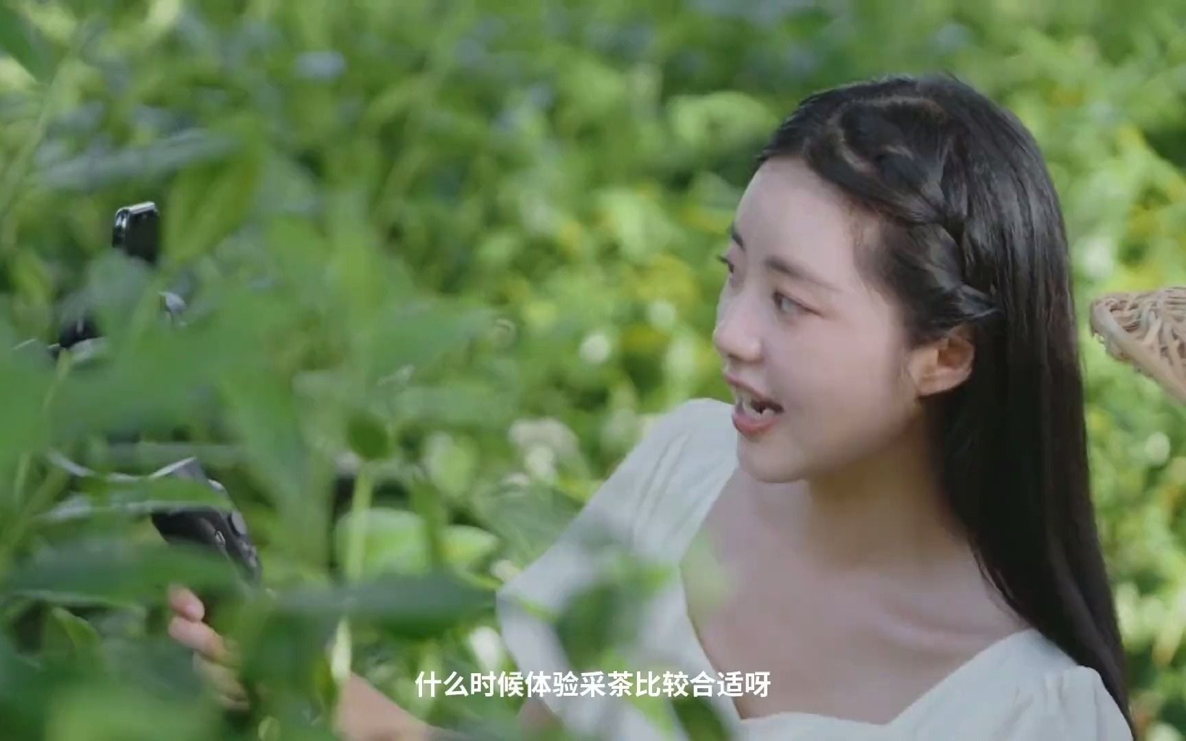 【浙江西部宝藏小县城】《值得，开化！》衢州市开化县最新城市形象宣传片