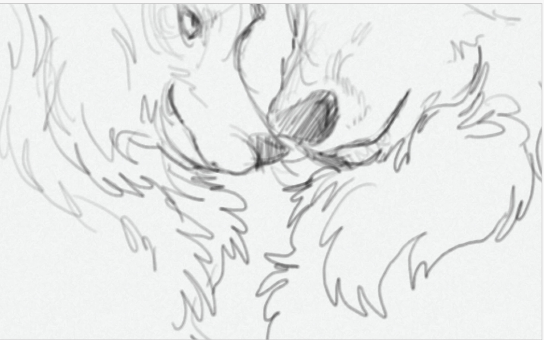 【flipaclip】914帧绘制动画练习