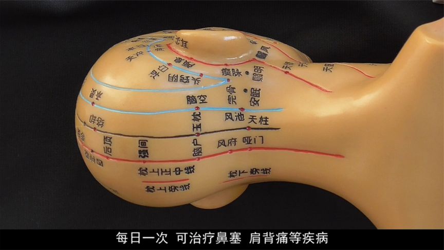 天柱穴功效:治疗头痛,肩背痛。主治疾病:后头痛,肩背痛等