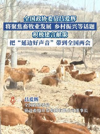 全国政协委员吕爱辉将聚焦畜牧业发展 乡村振兴等话题 积极建言献策 ...