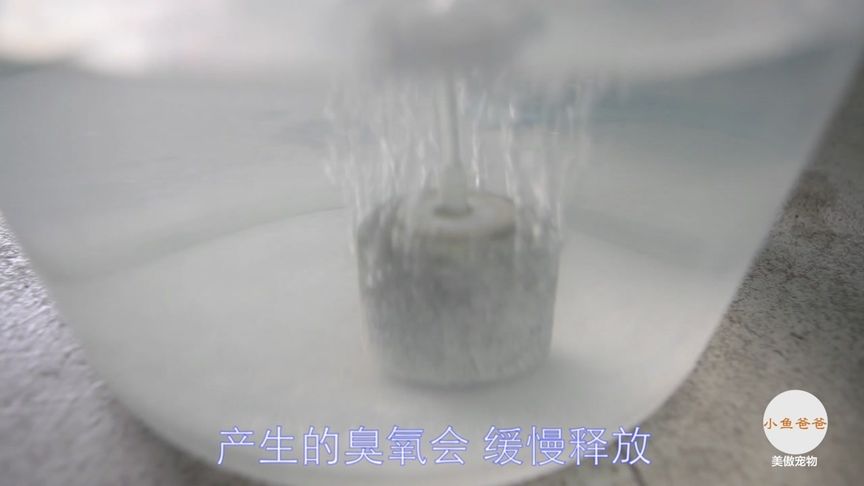 新手小白之-鱼缸消毒方法的详细介绍-《小鱼爸爸》第四期