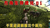 方舟生存进化01:暗墨带俩傻憨憨驯服庞马,多米一路表示太难了