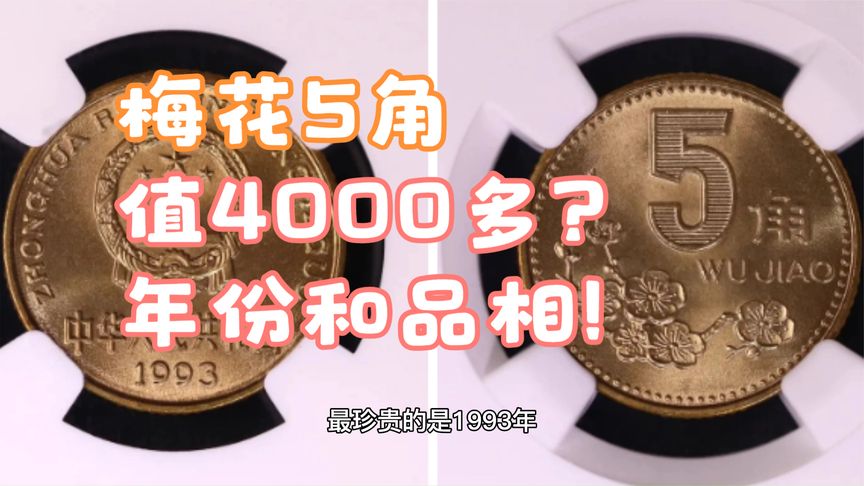 梅花5角硬币能值4000多,年份和品相很关键,你别错过