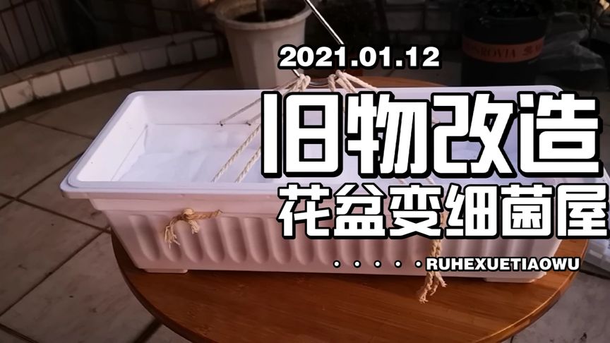 广东70后退休慢生活:养鱼水质浑浊,自己旧物改造一个硝化细菌屋