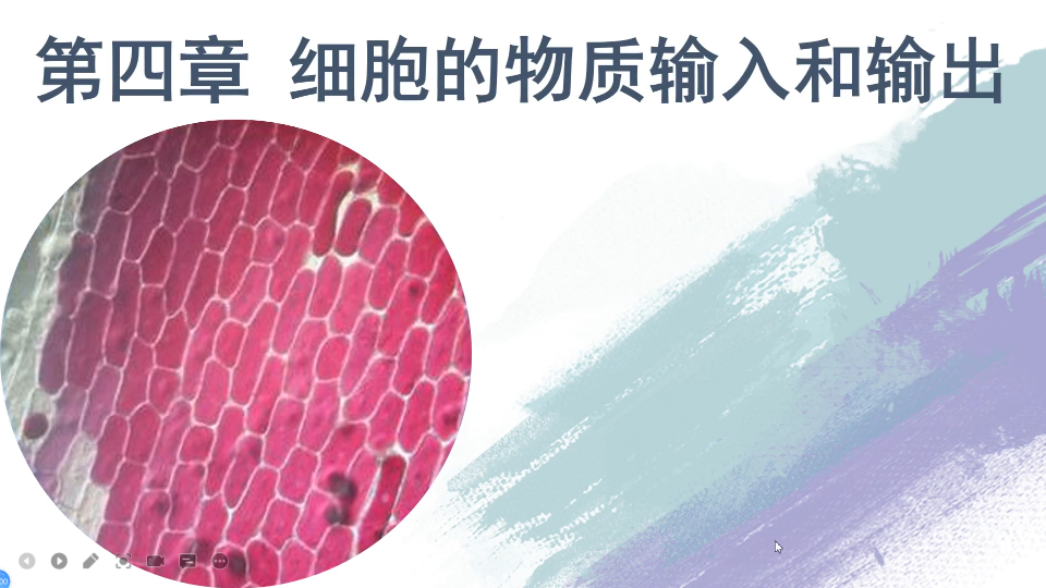 高中生物必修一第四章细胞的物质输入和输出第一节被动运输