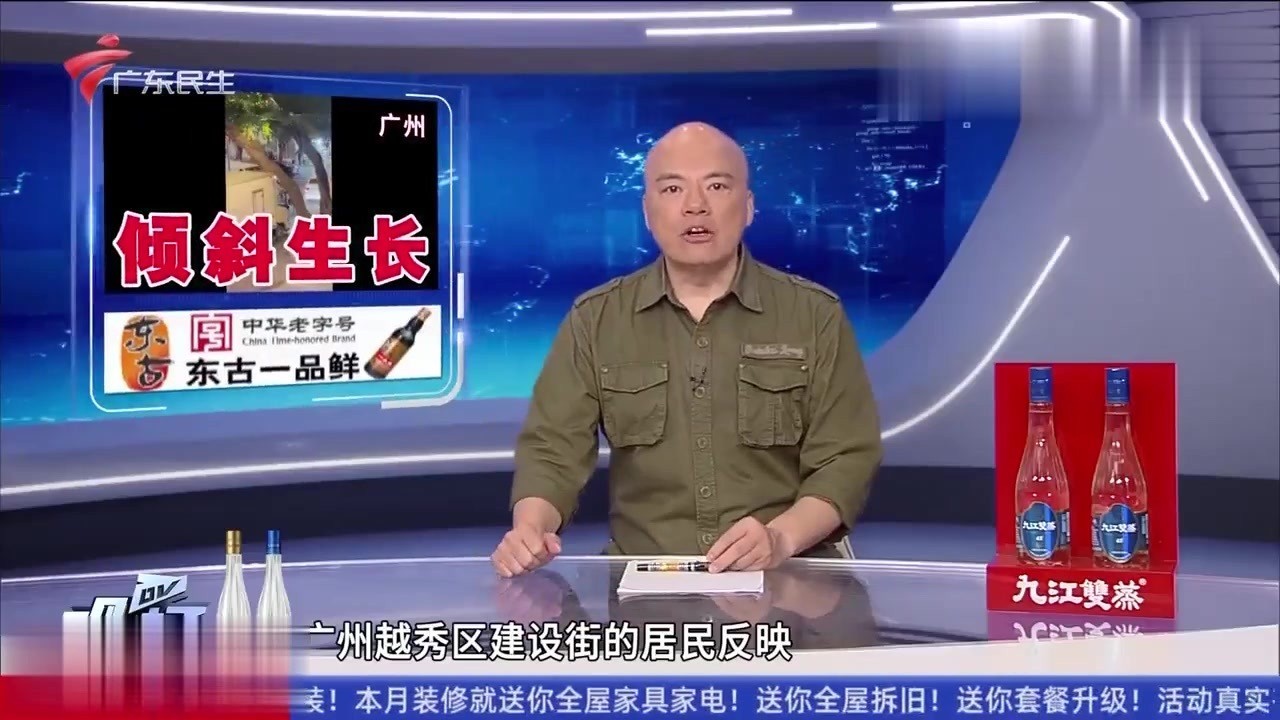 广州越秀:路边大树倾斜生长挡道车辆经过频频刮擦