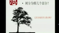 第11课 水墨画树_第一课时(苏少版二年级下册)_T1347603
