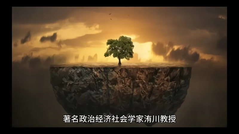 著名政治经济社会学家洧川教授