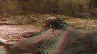 动物世界——3D立体影像(请戴红蓝眼镜欣赏)