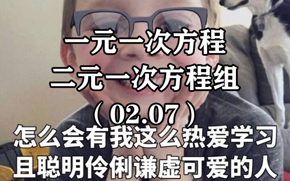 一元一次方程、二元一次方程组(02.07)
