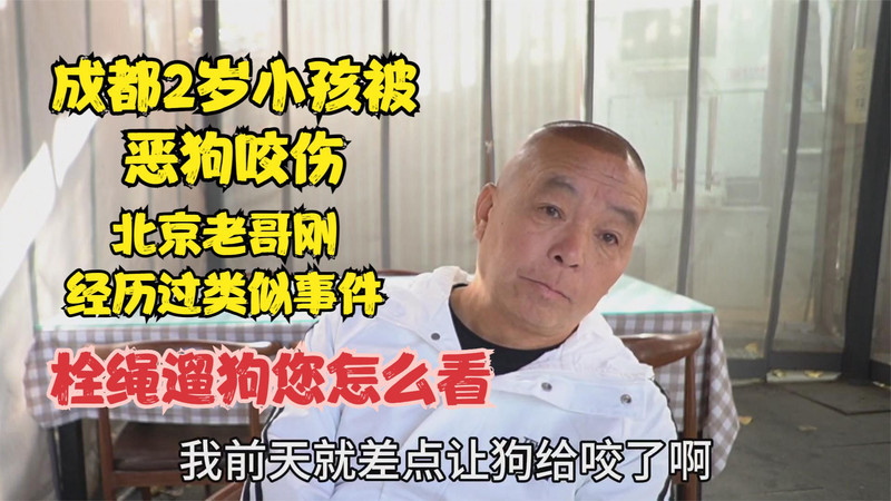 成都2岁小孩被恶狗咬伤,北京老哥刚经历过类似事件,您怎么看