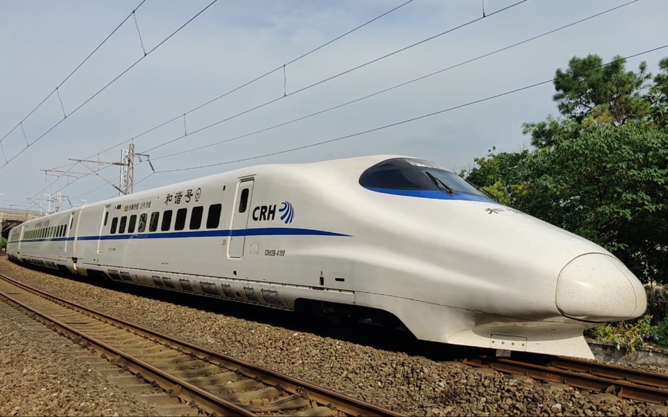 ...时速X103/武汉救援车/武汉通勤车/行包快运 汉阳桥头傍晚的列车/动车