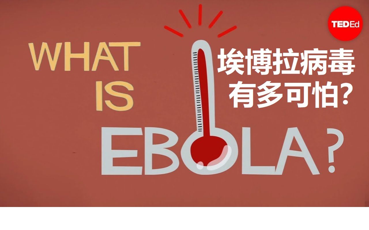 埃博拉病毒到底有多可怕?