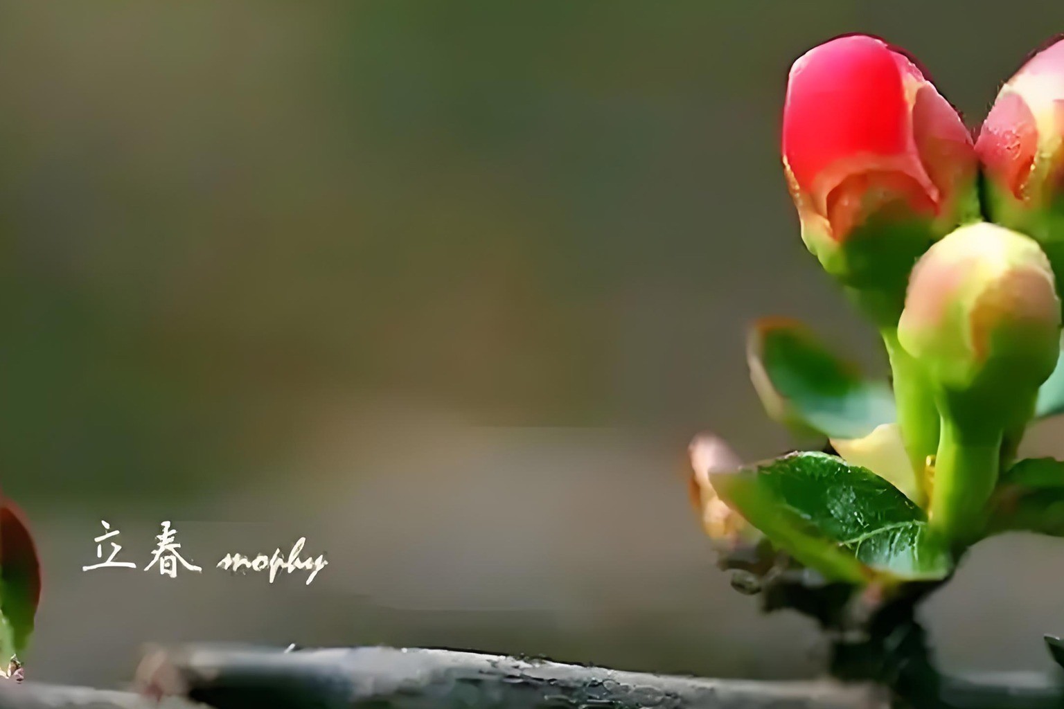 "立春咬春,病不沾身",今日立春,再忙也要记得咬"3鲜"!