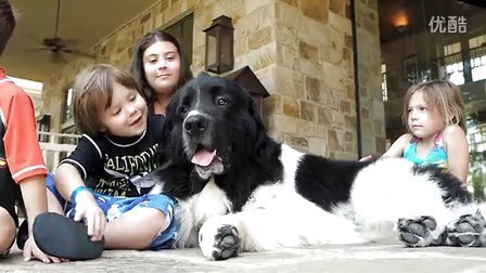 凯悦您好-美国德克萨斯凯悦酒店及水疗中心