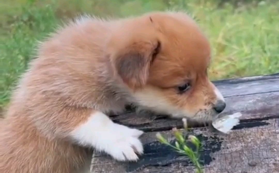 ...你内心还是久久无法平静,不知道你是否也和我一样有过不被爱的经历。