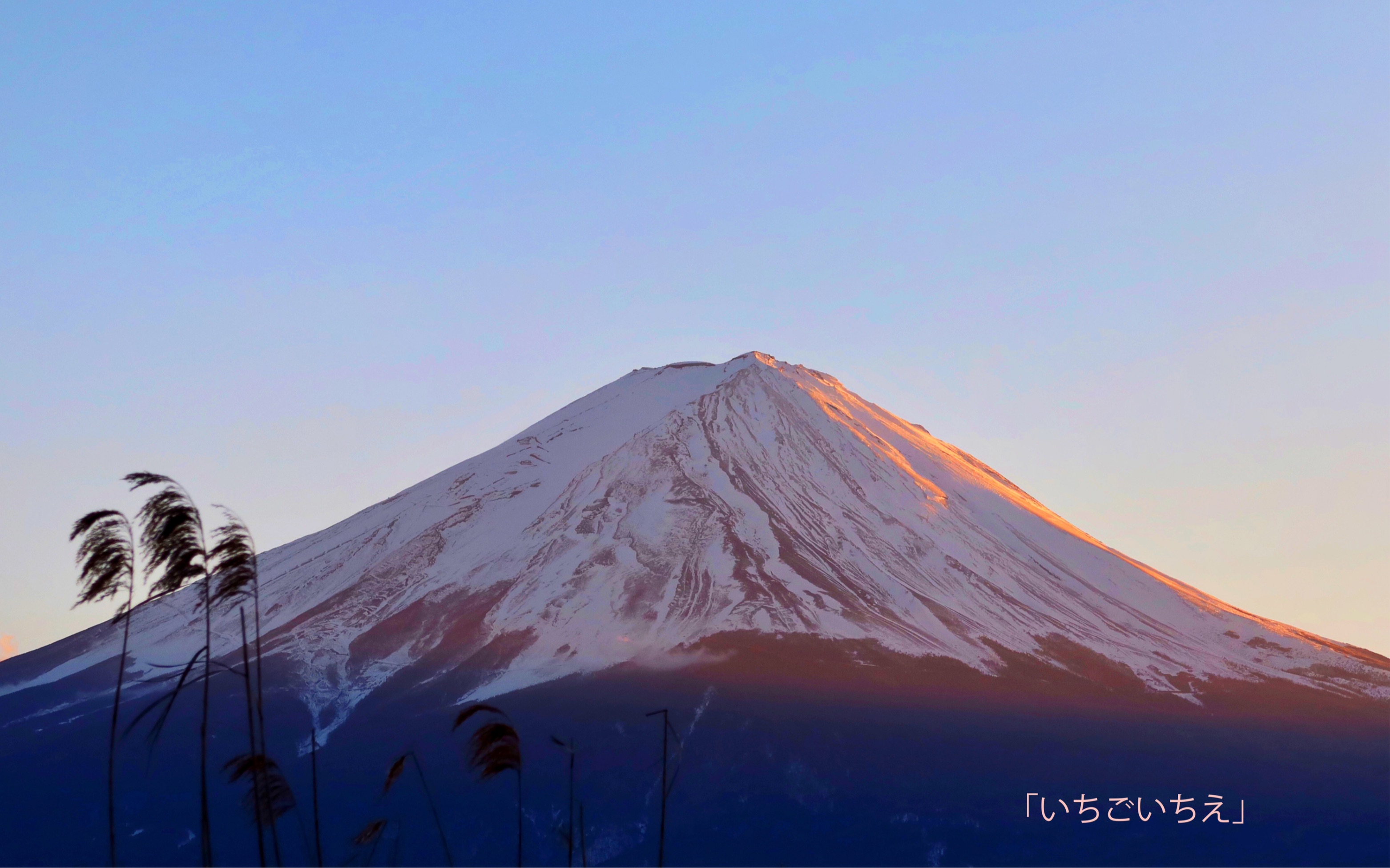 旅行Vlog|关于富士山与镰仓的美好回忆