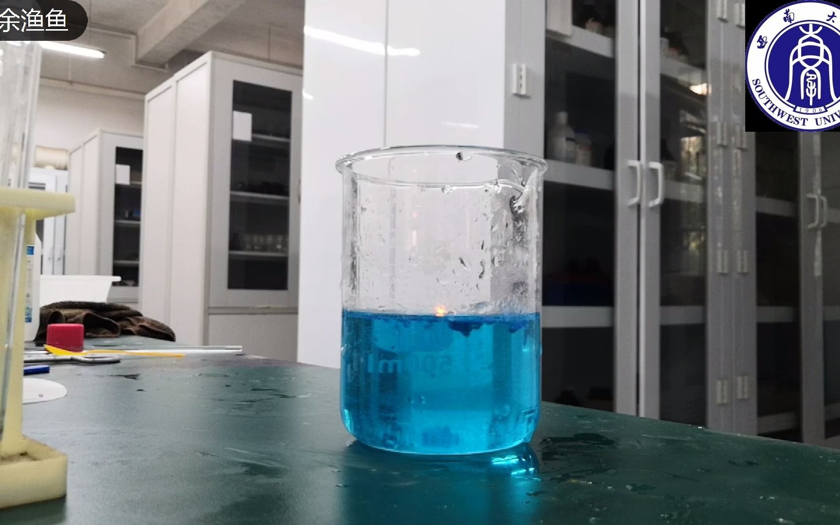 高中化学实验:钠与浓度过高的硫酸铜溶液反应(原声实录)