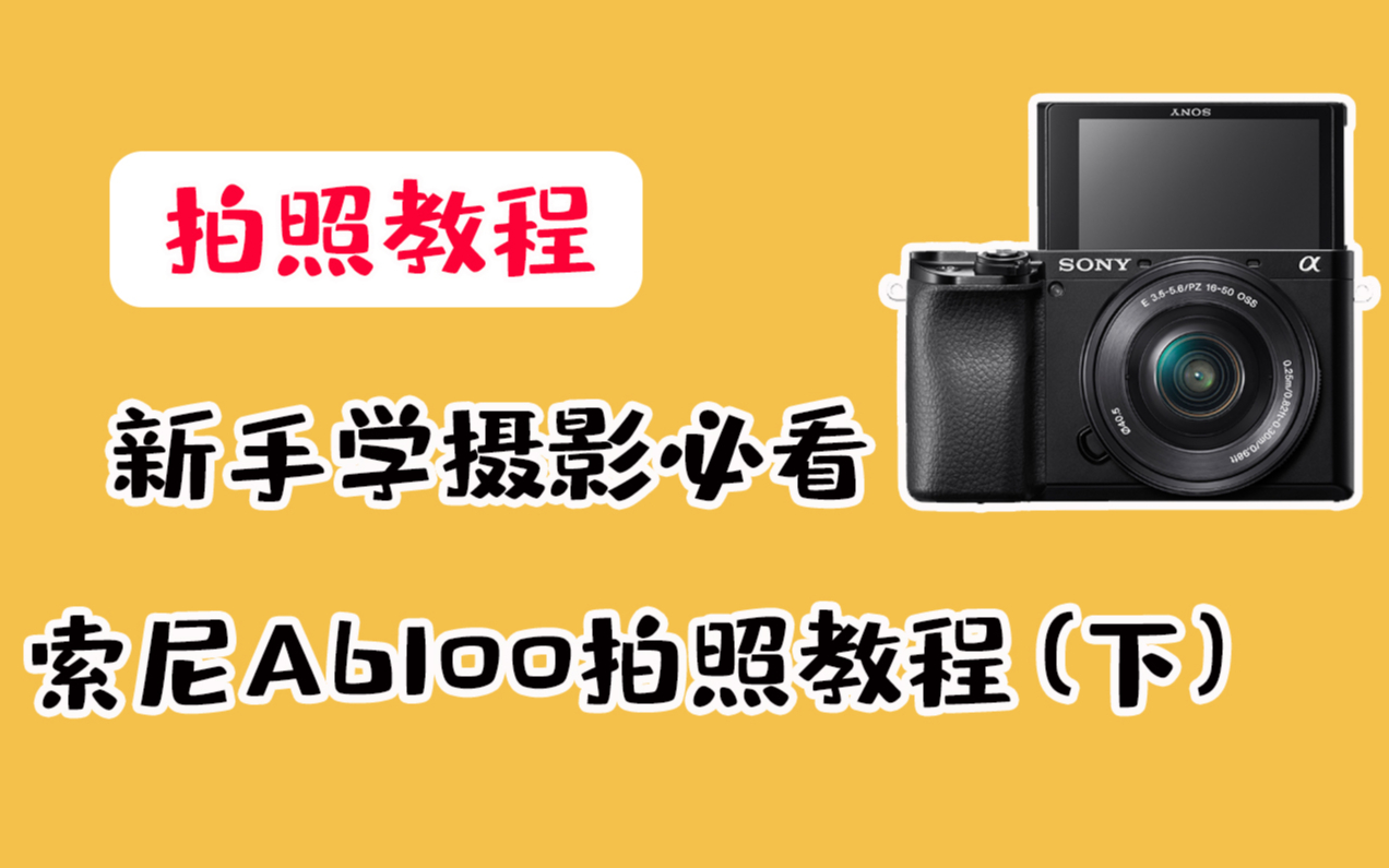 【蚂蚁摄影】索尼微单A6100详细拍照教程(下)