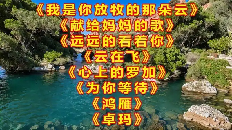 好听《我是你放牧的那朵云》《献给妈妈的歌》《远远的看着你》
