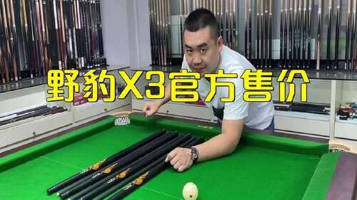 野豹X3价格公布!这个定价让对手慌了?