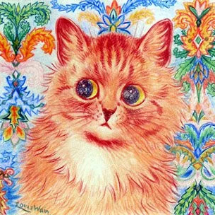 易家大猫 