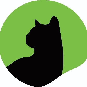 未来要有仪式感 