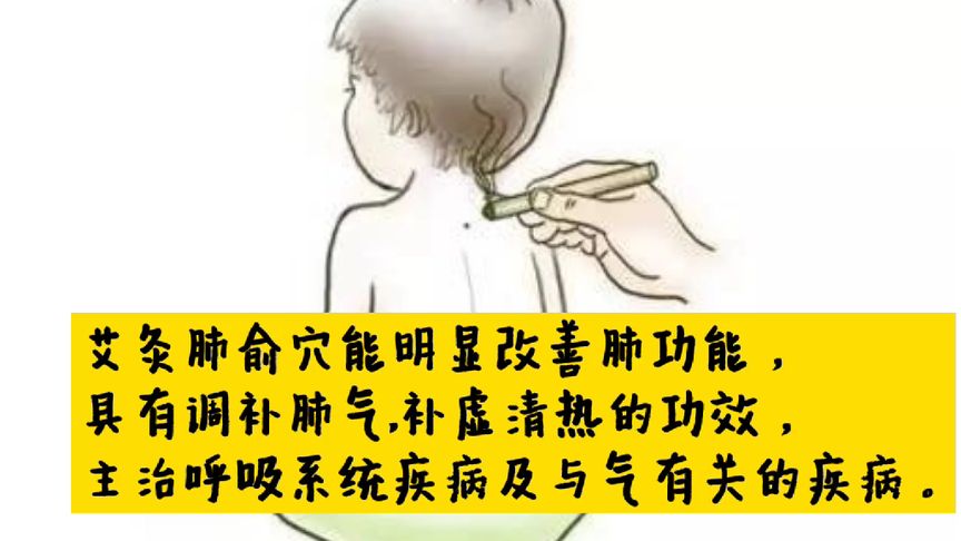 艾灸肺俞穴调补肺气,改善肺功能。