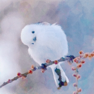 Baymax_1307 