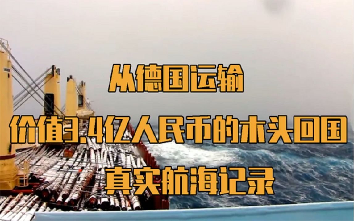 从德国运输价值2.4亿的木头回国,途中遭遇强台风,真实航海记录