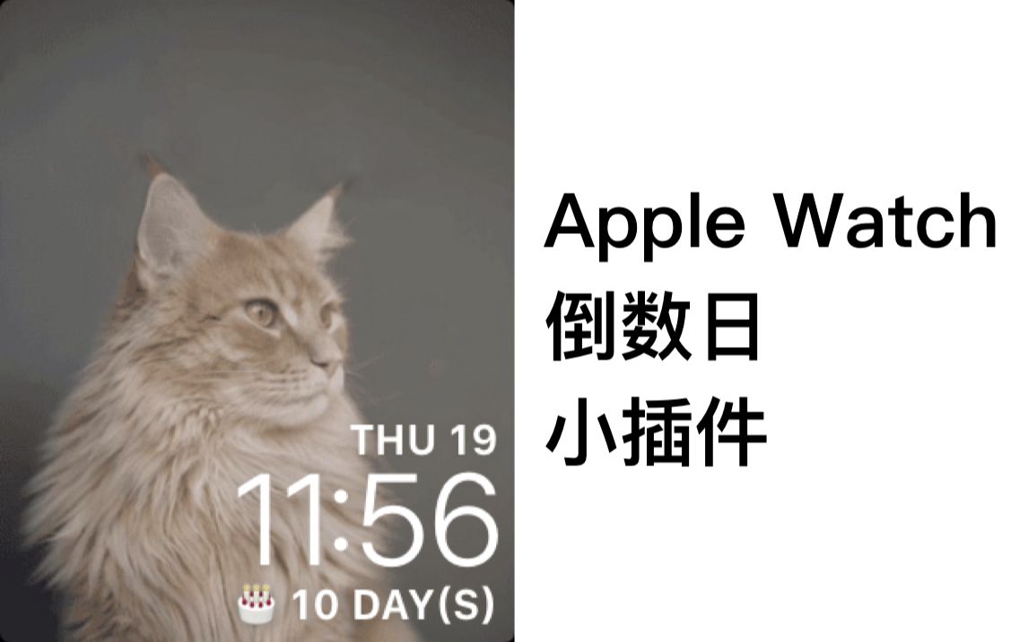 1分钟教你如何在Apple Watch 显示倒数日小插件