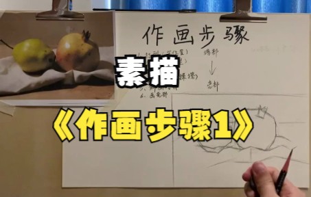 素描零基础入门教程—作画步骤(1)