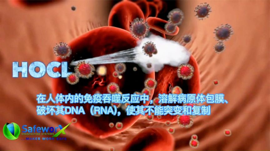 分享:国外企业对次氯酸HCLO消毒剂功能的介绍
