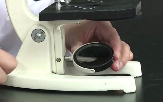 认识和使用显微镜