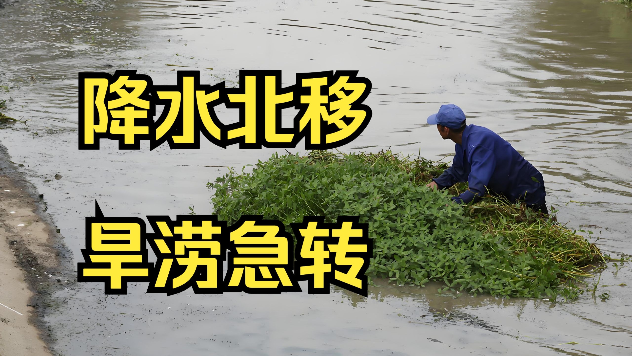 60年一遇的连绵阴雨,河南真的要变江南吗?