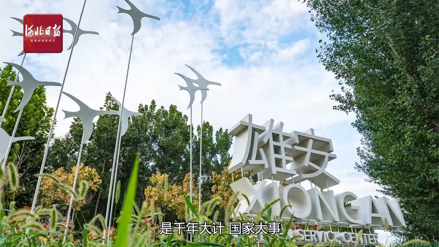 红色档案印初心㉚雄安逐梦