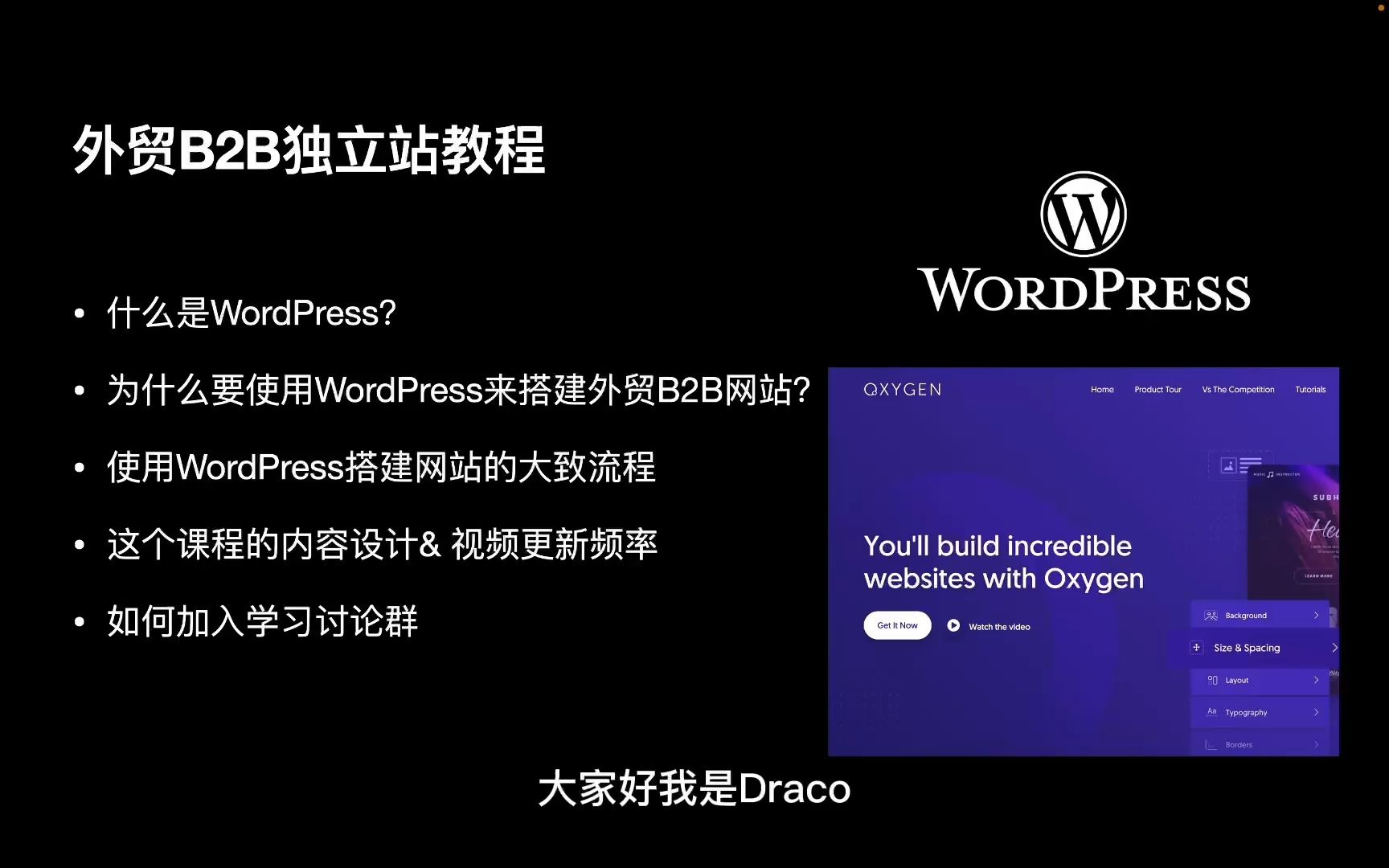 引言 - 免费&全网最详细Wordpress外贸B2B独立站搭建教学系列