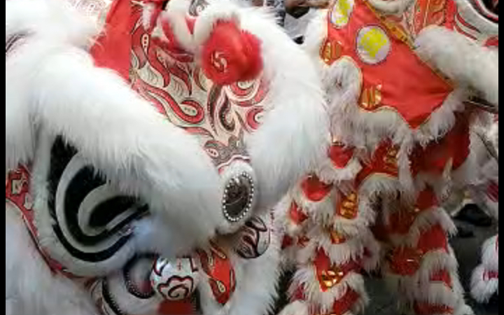 澳洲悉尼唐人街 新年舞狮表演