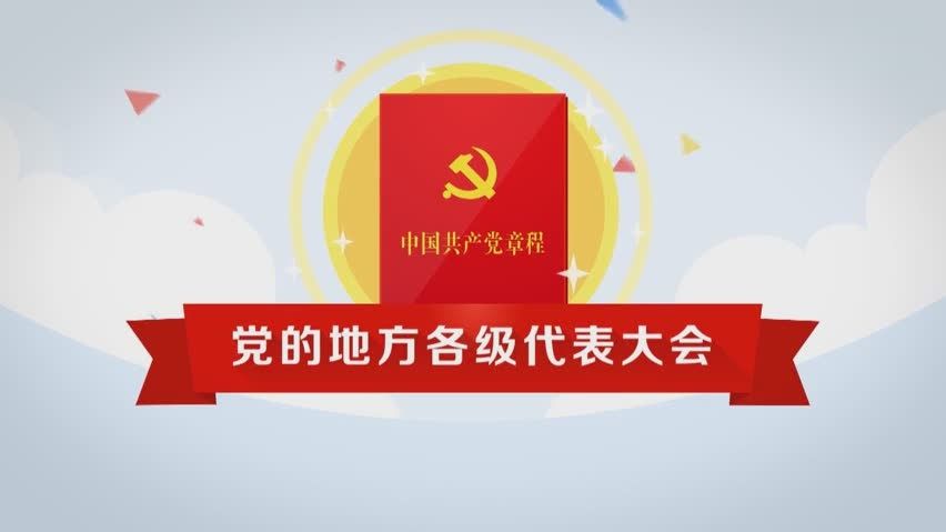 《党章知识选粹》第23集:党的地方各级代表大会