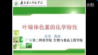 微课1-叶绿体色素的化学特性