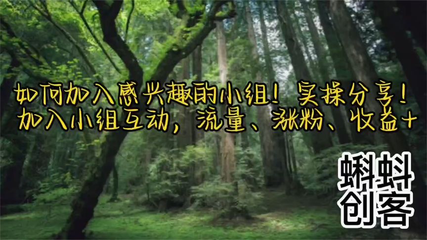 如何加入感兴趣的小组?实操分享!小组互动,流量、涨粉、收益+