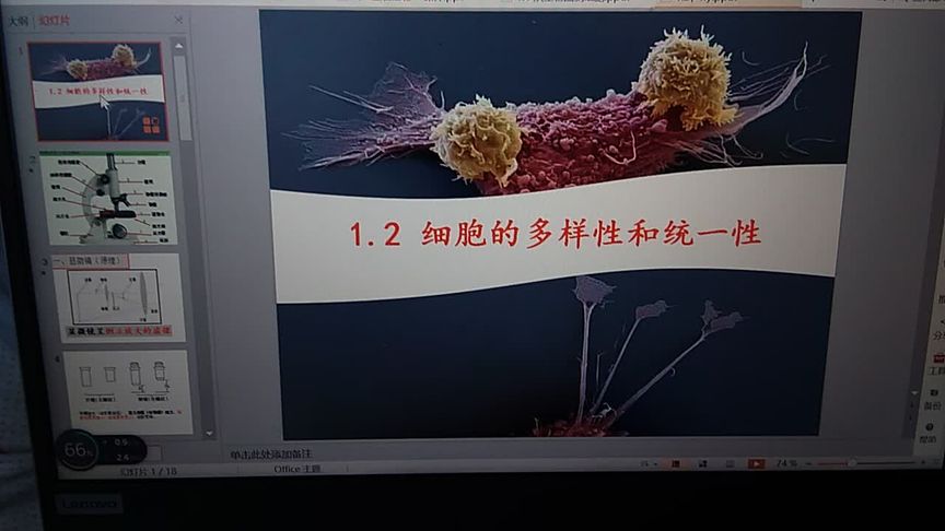 对于细胞你了解多少?细胞的多样性和统一性