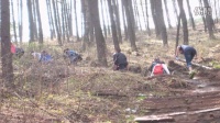 旅游协会2015宣传视频