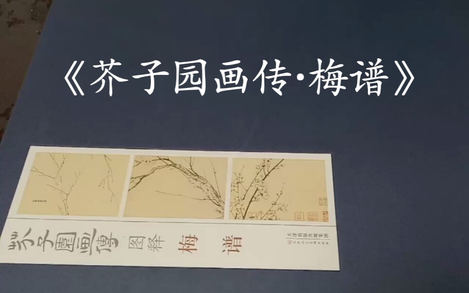 【芥子园画传·梅谱】跟我一起来学古人是怎么画梅花的吧~