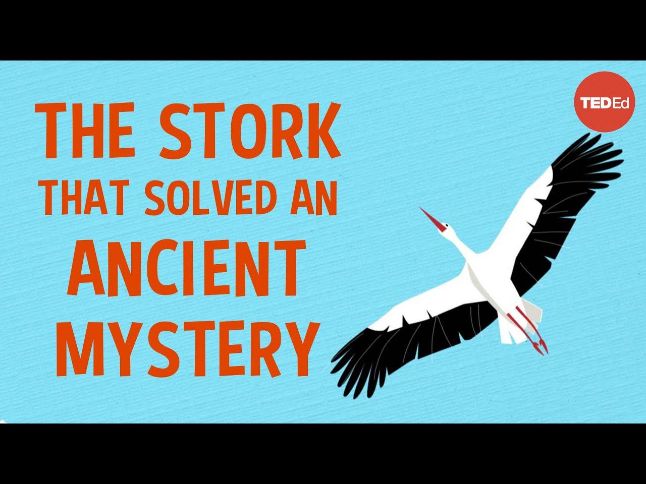 【中配】握矛鹳的奇迹:颠覆科学界的发现 - TedED