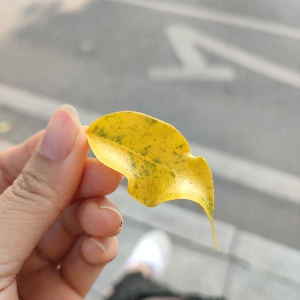 二十岁开始学养生 