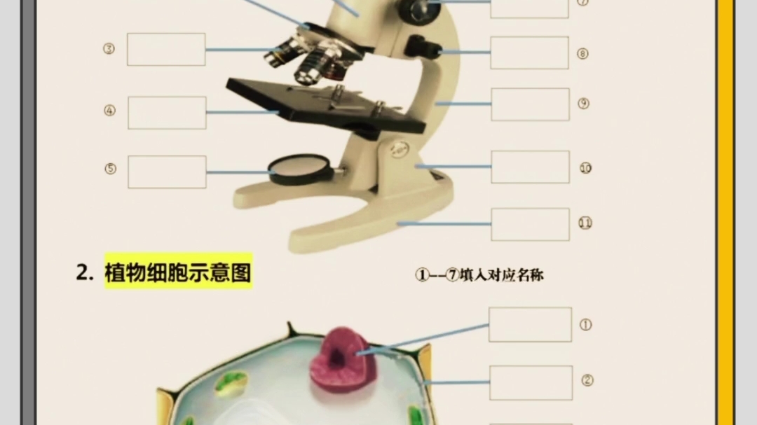 七年级上册生物24个必会重点填图题